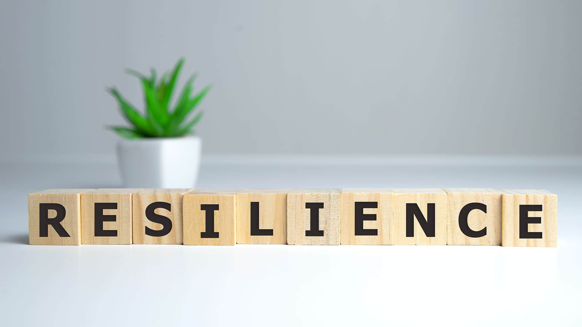 Energy is the Fuel for Resilience: How to Tap into It - Regenerate